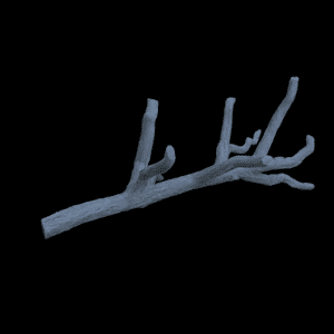 Terrain_Wood_Branch_1 – MyPortal Studios